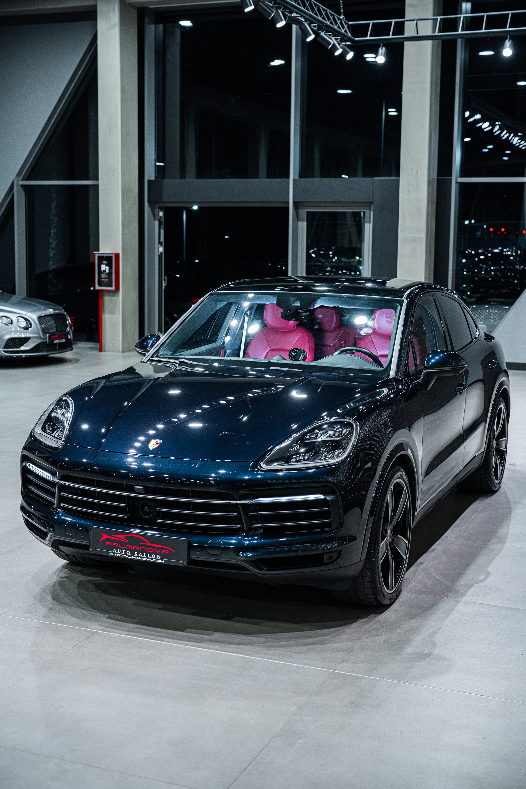 Porsche Cayenne "Platinum Edition" | Autopalmanova